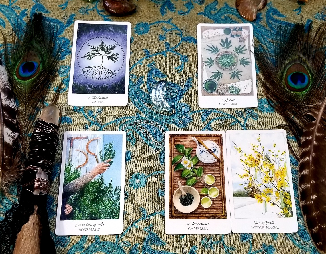 Friendship Tarot Spread | Tarot Study Group | Herbcrafter’s Tarot | On ...